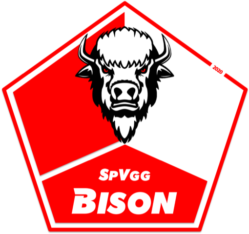SpVgg BISON e.V. 2020, Autor bei Cuxverein